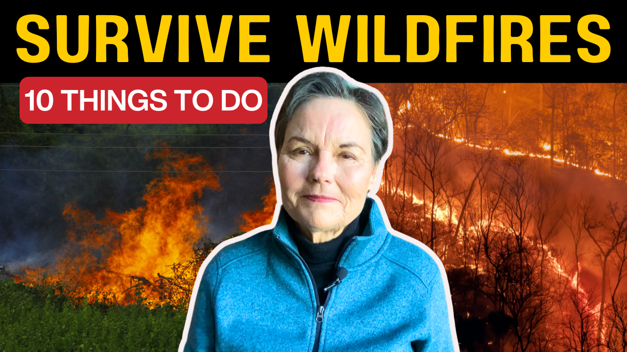 Ten Survival Tips Before, During, and After Wildfires – GinnyBrant.com